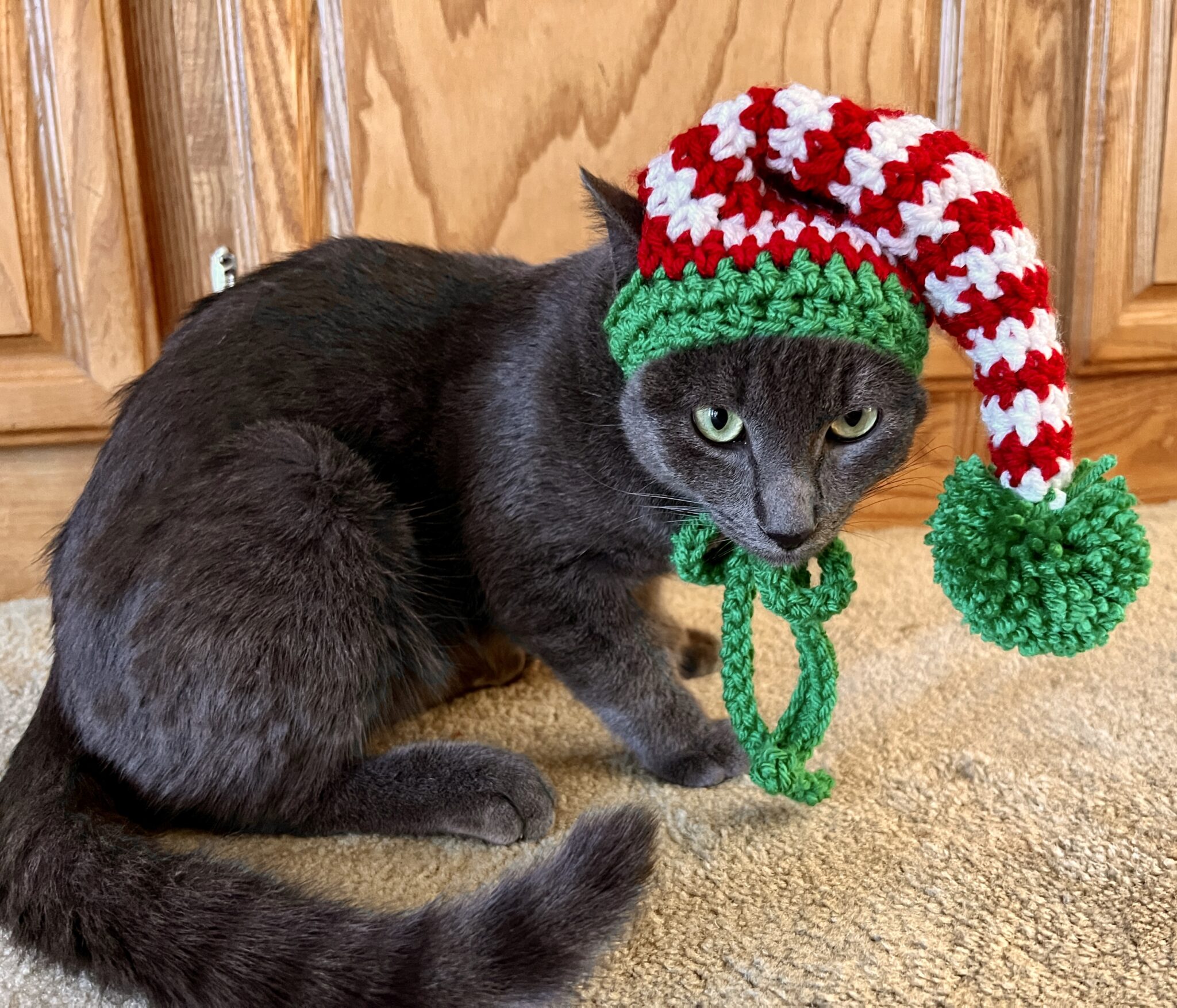 Crochet Cat Hat: 18 Free Patterns - Fosbas Designs