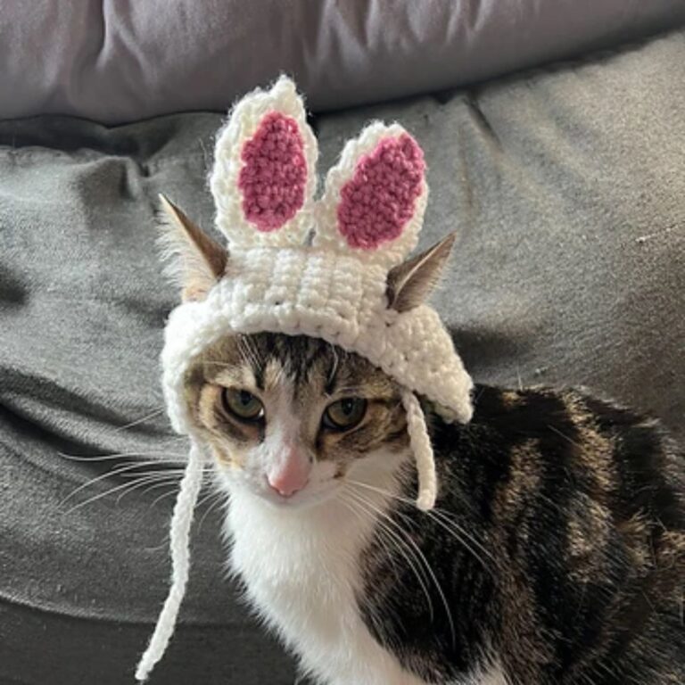 Crochet Cat Hat: 18 Free Patterns - Fosbas Designs