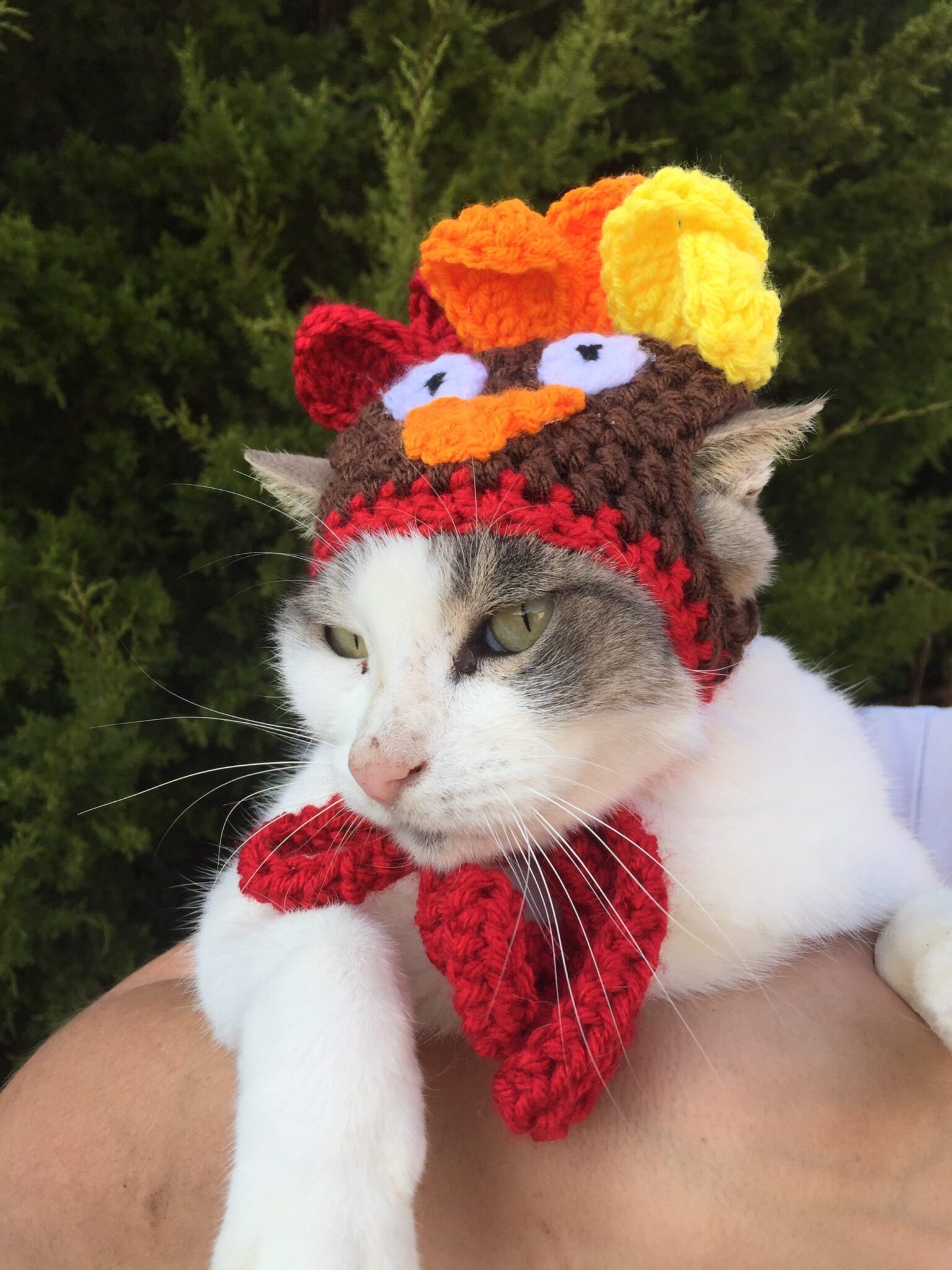 Crochet Cat Hat: 18 Free Patterns - Fosbas Designs
