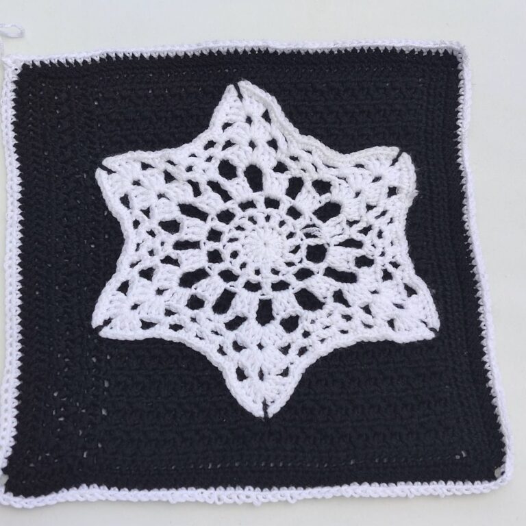 Simple Star Square Crochet - Fosbas Designs